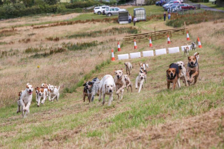 Social – Braes of Derwent Hunt