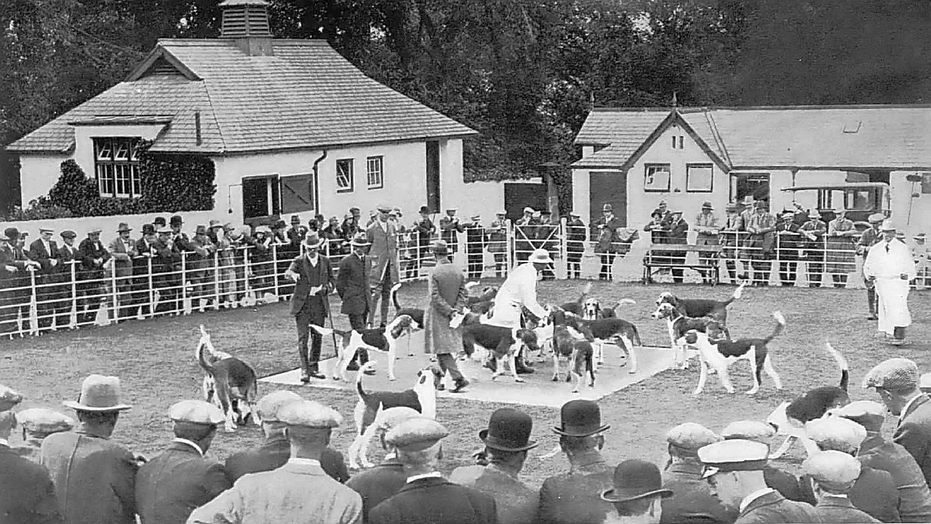 Puppy Show – Braes of Derwent Hunt